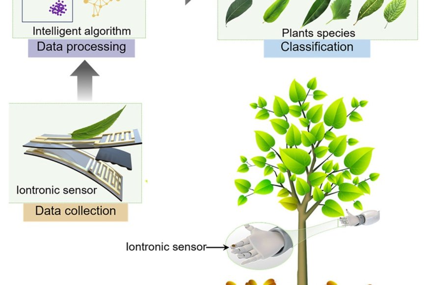 Iontronic tactile sensory system for plant species and growth-stage ...
