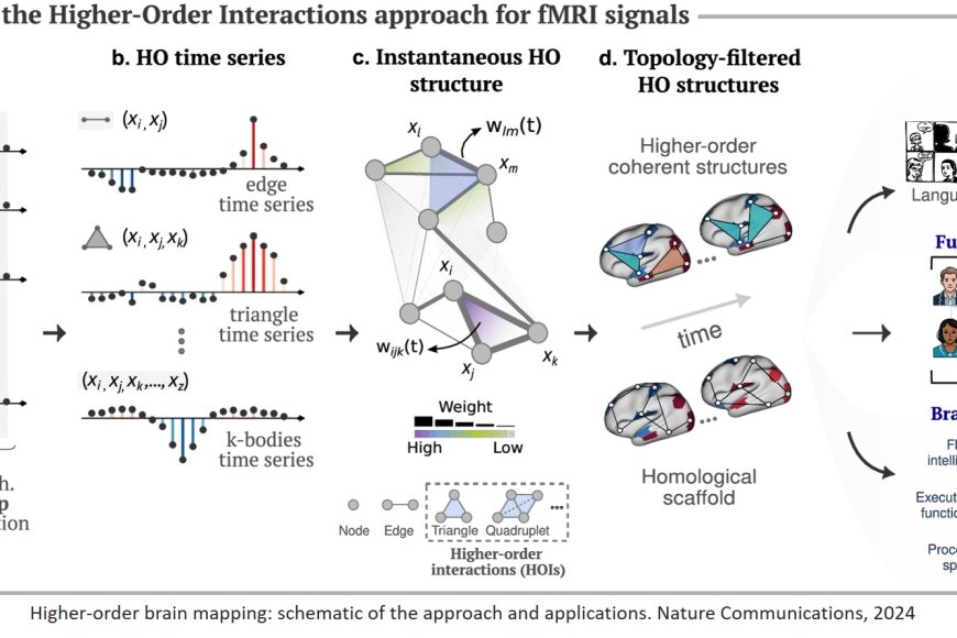 Higher-order connectomics of human brain function reveals local ...