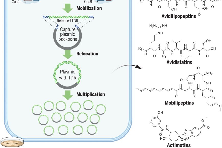 Natural Products Discovery From Bacteria Sciencemission