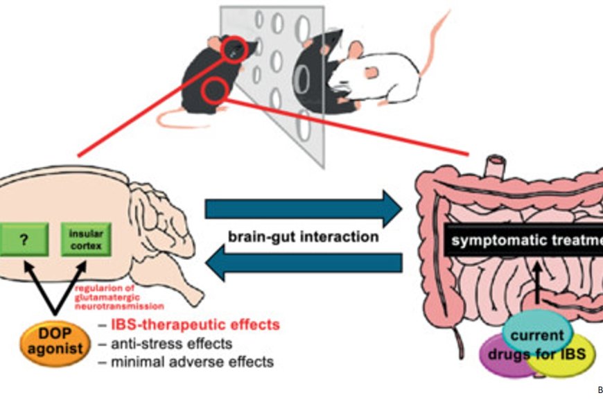 Opioid delta-receptor agonists alleviate stress-induced irritable bowel ...