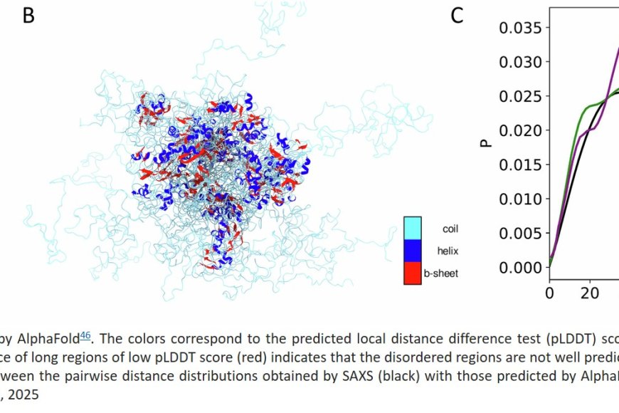 AlphaFold prediction of structural ensembles of disordered proteins ...
