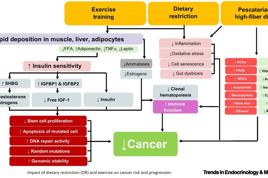 Dietary and pharmacological energy restriction and exercise for ...