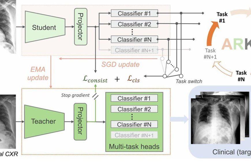 An Open Ai Model To Interpret Chest X Rays Sciencemission
