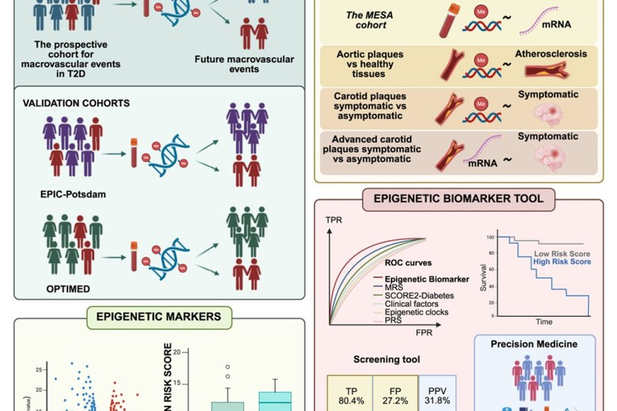 Epigenetic biomarkers predict macrovascular events in individuals with ...