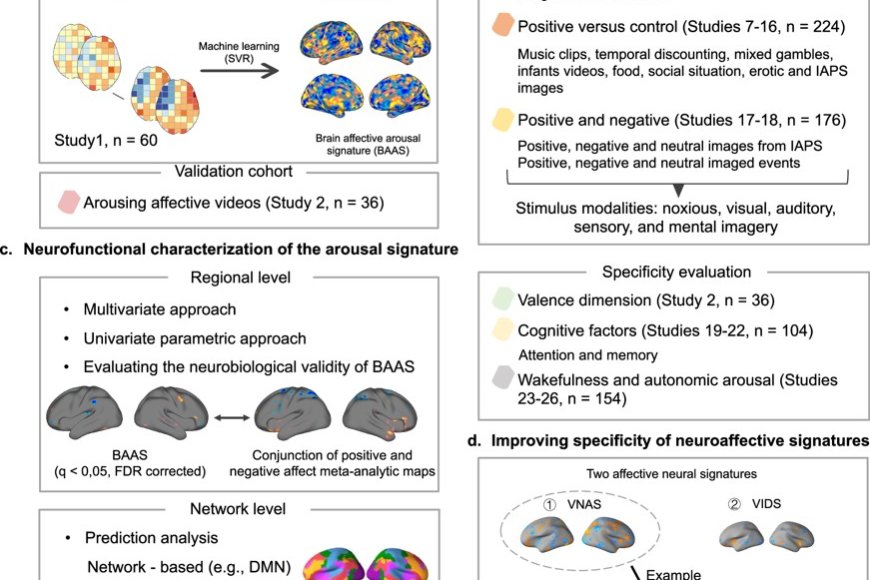 A neurofunctional signature of affective arousal generalizes across ...