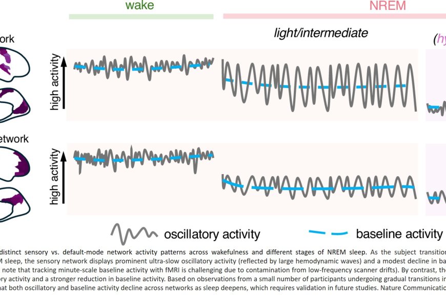 Simultaneous EEG-PET-MRI identifies temporally coupled and spatially ...