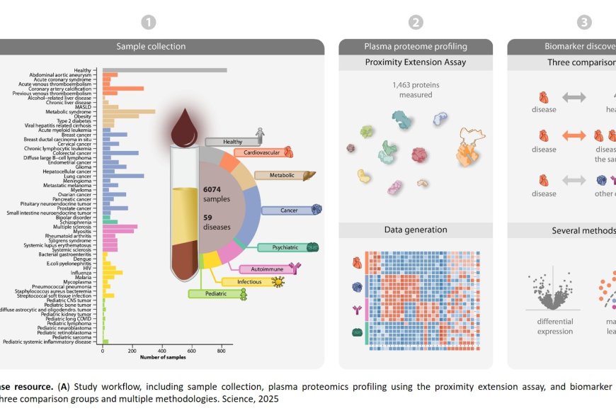 A human pan-disease blood atlas of the circulating proteome ...
