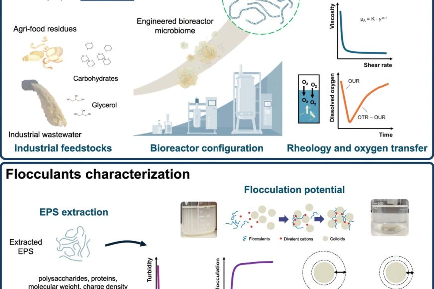 Microbial biopolymers from industrial wastewaters - Sciencemission