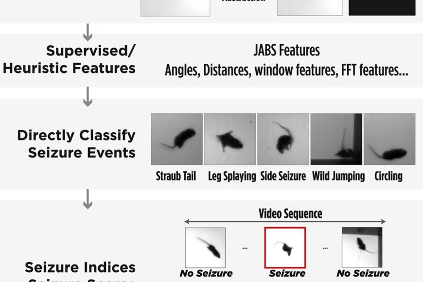 Visual detection of seizures in mice using supervised machine learning ...